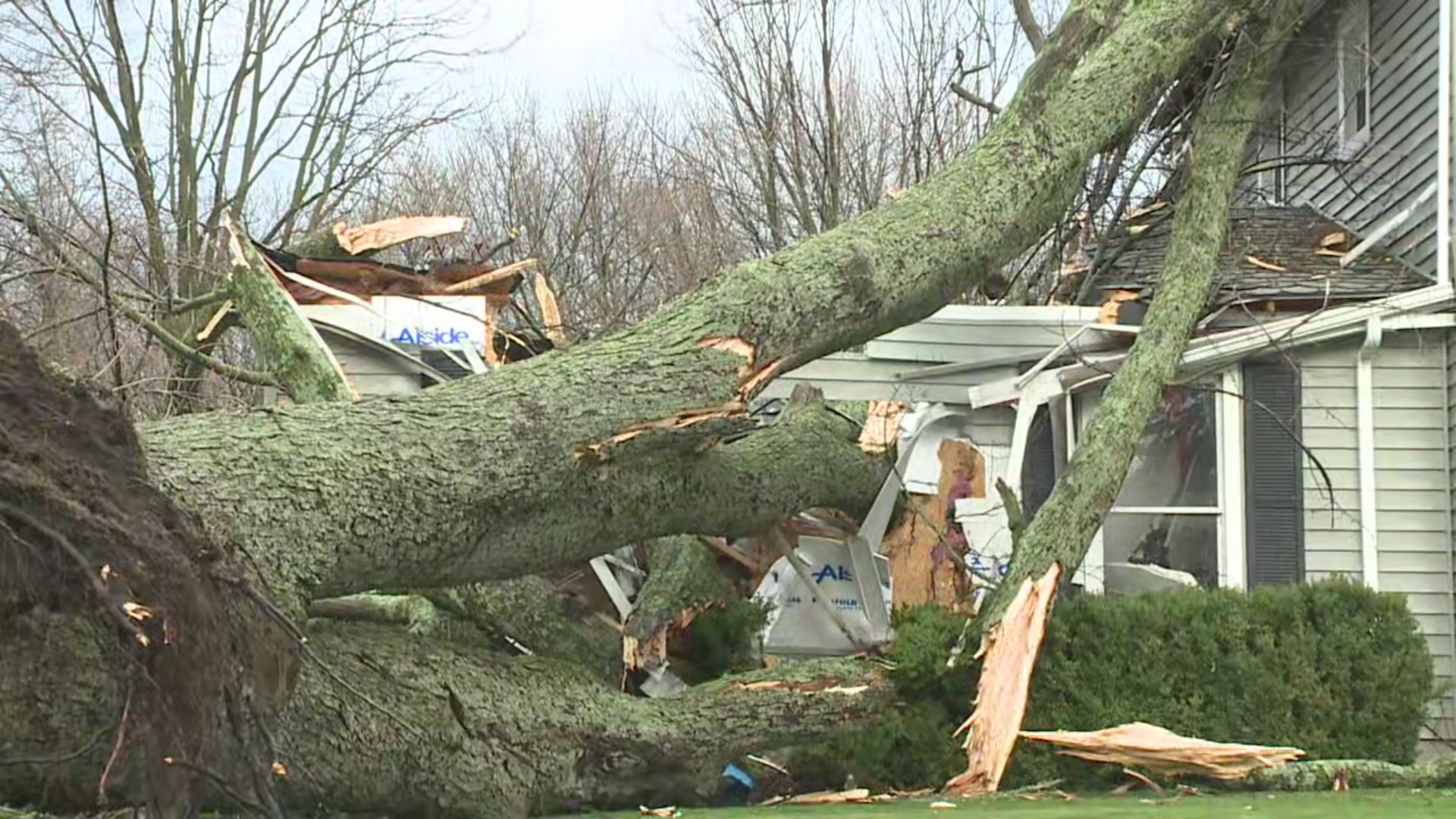 Damaging winds topple tree onto Amherst home – Fox 8 Cleveland WJW