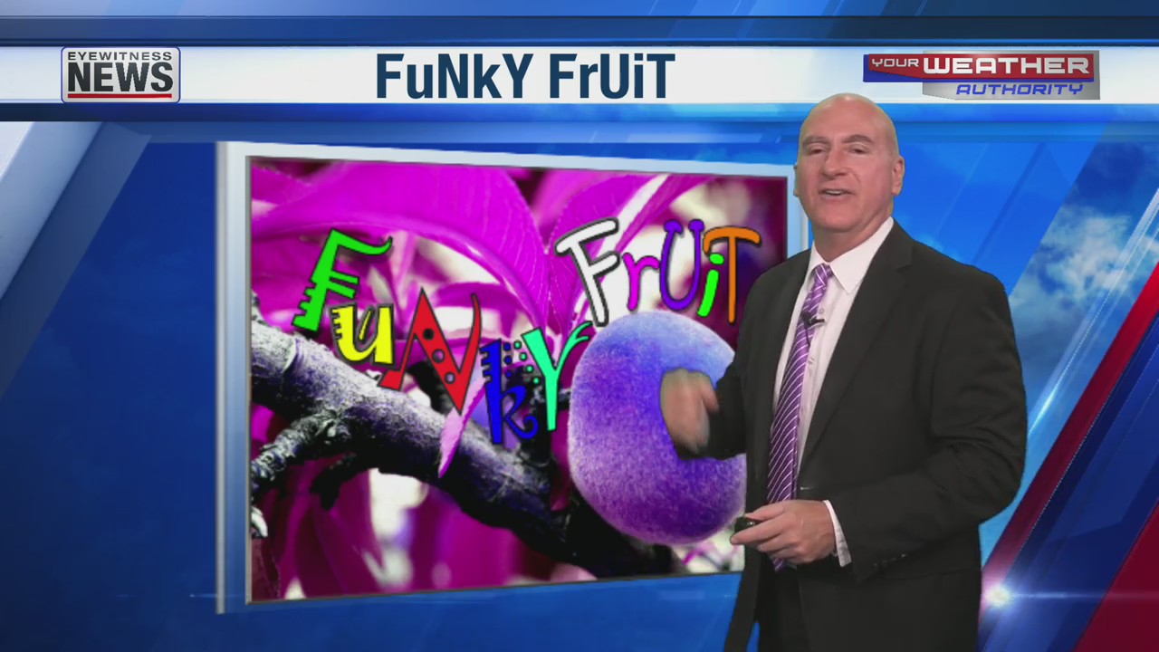 FuNkY FrUiT Long Tail Tater Rat – Eyewitness News (WEHT/WTVW)