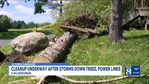 Cleanup underway after storms down trees, power lines – WOODTV.com
