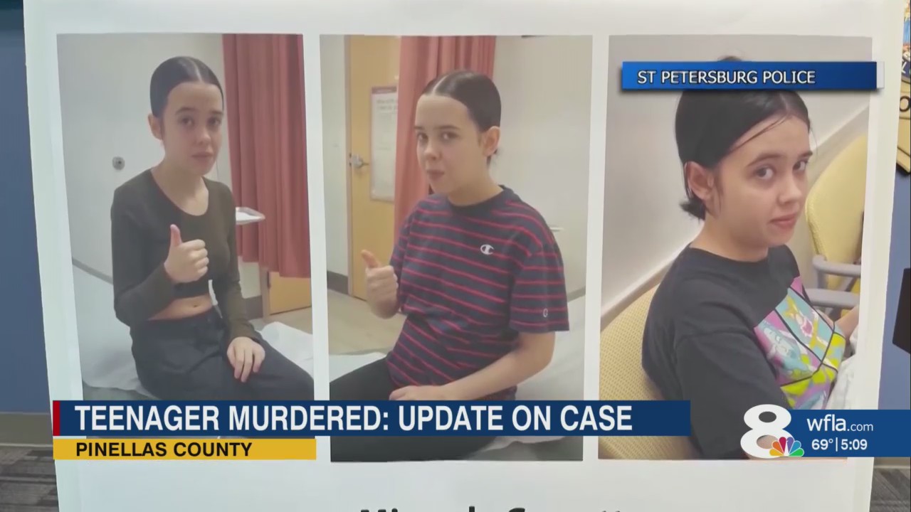 Pinellas man charged in gruesome murder of teen is ruled mentally ...