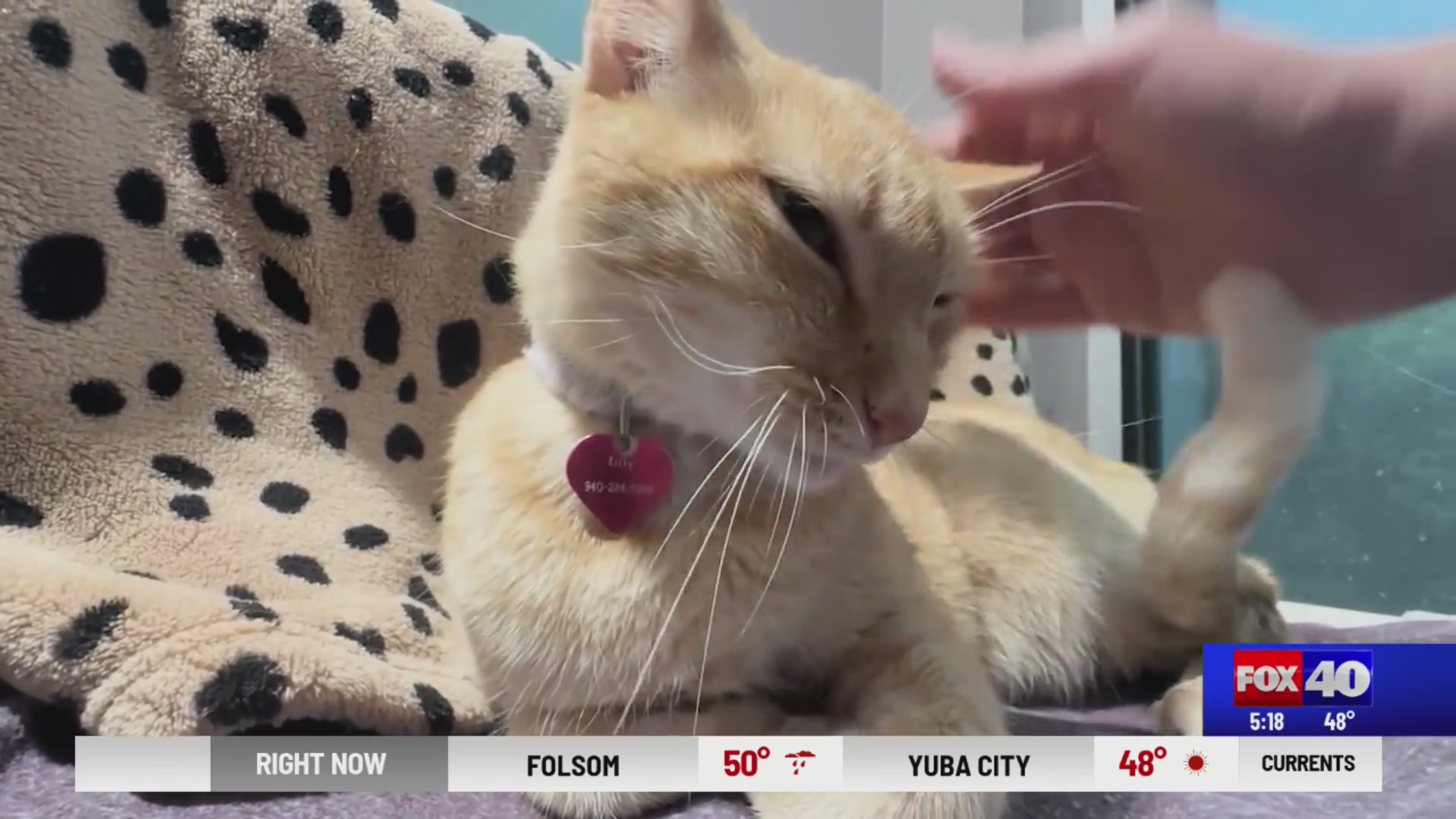 New laws coming into effect in 2026 in California – KGET 17 News