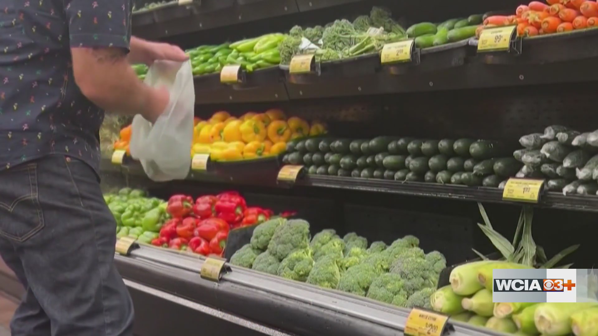New SNAP benefit standards coming next month, what’s changed? – WCIA.com