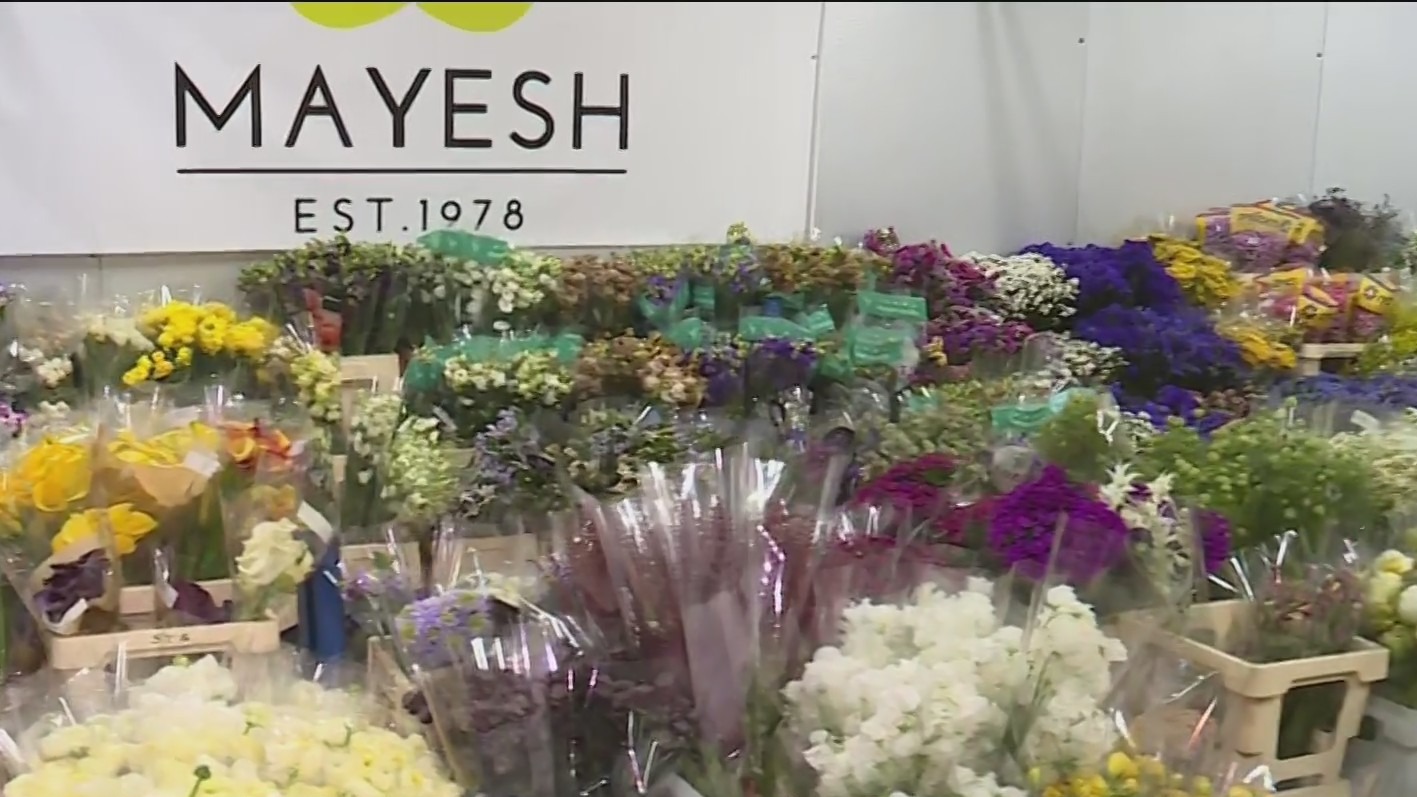 Kohr Explores: Preparing for Valentine’s Day with the Portland Flower ...