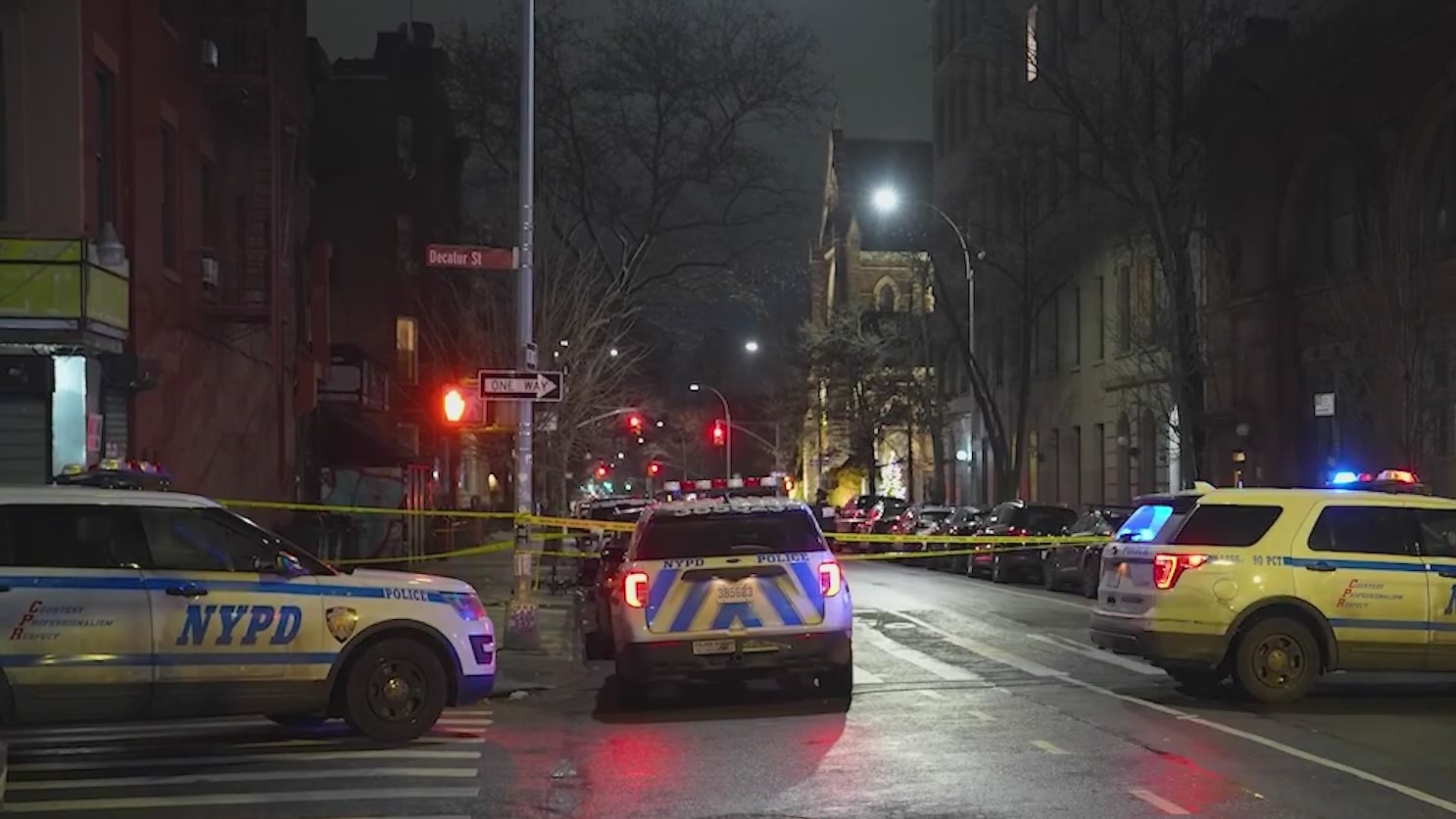 Grandson in custody after woman, 85, stabbed to death in Brooklyn ...