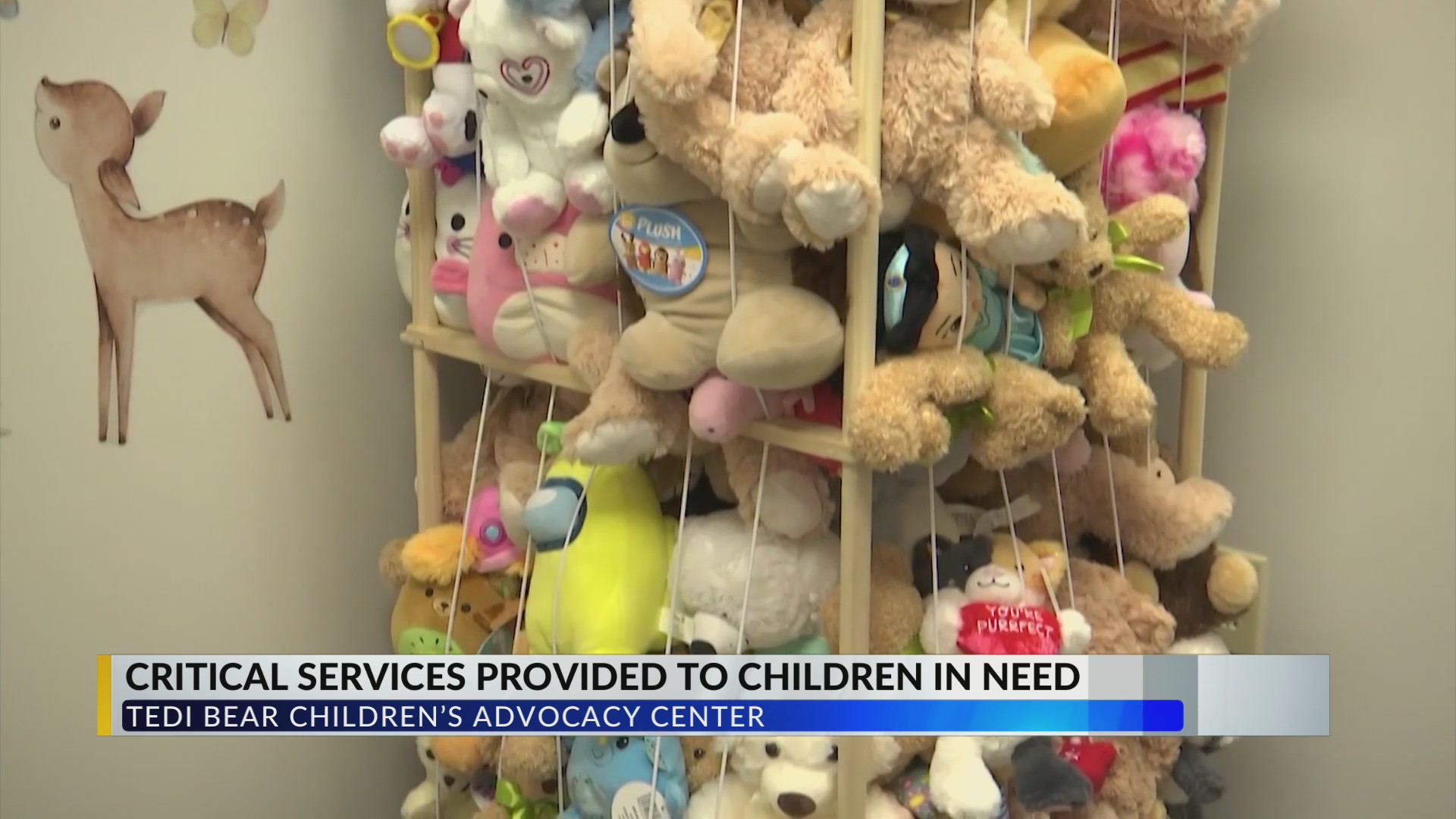 TEDI BEAR raises awareness for child abuse prevention – WNCT