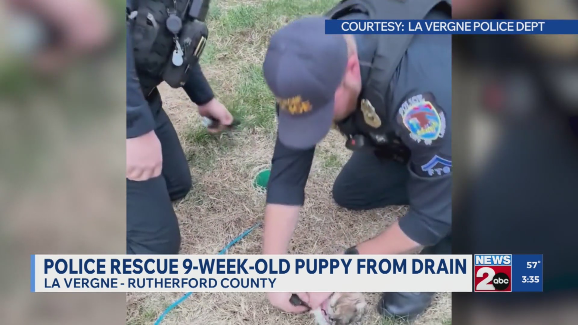La Vergne police rescue 9-week-old puppy from drain – WKRN News 2