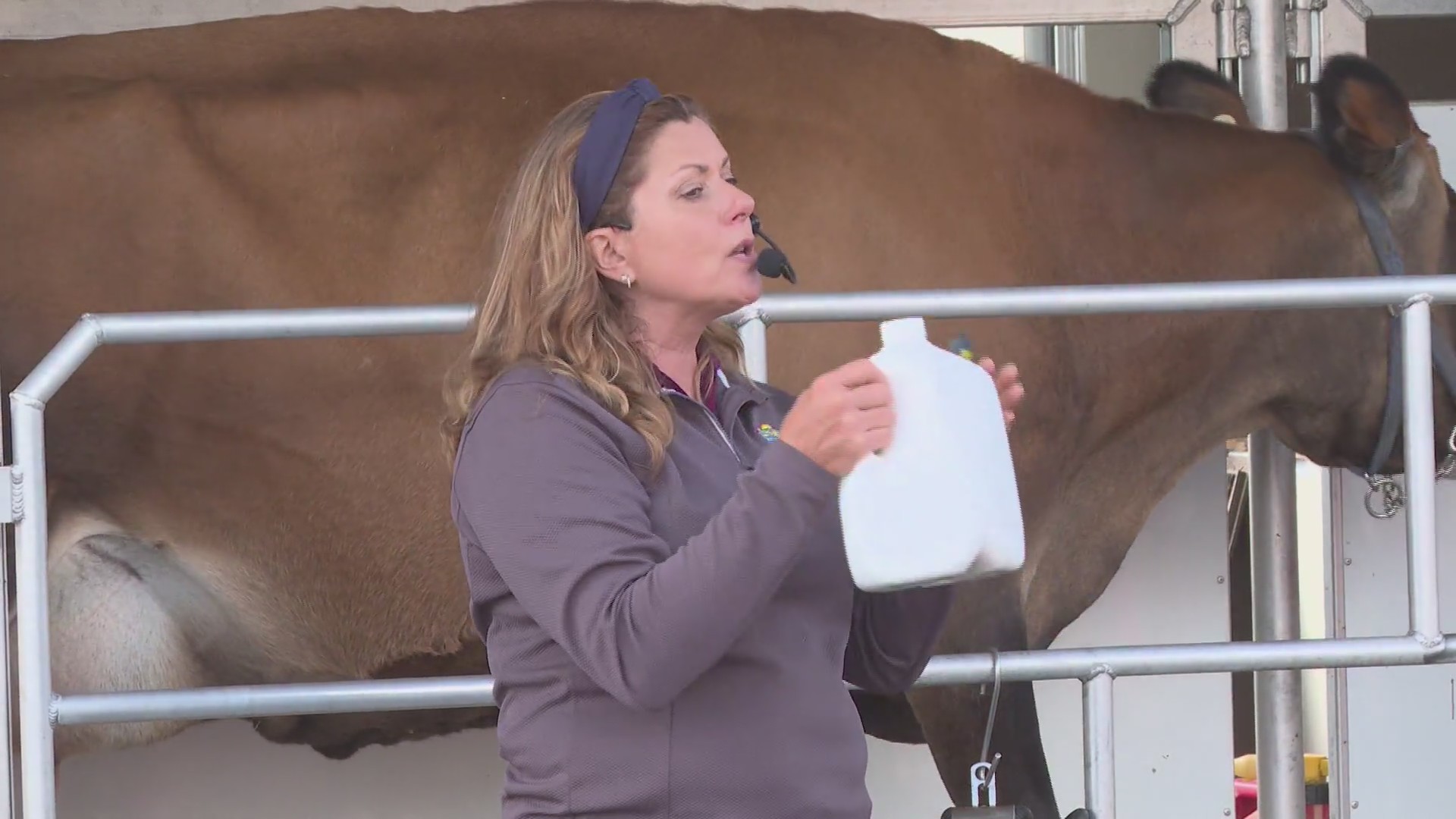 Mobile Dairy Classroom visits Joplin to teach kids where milk comes ...