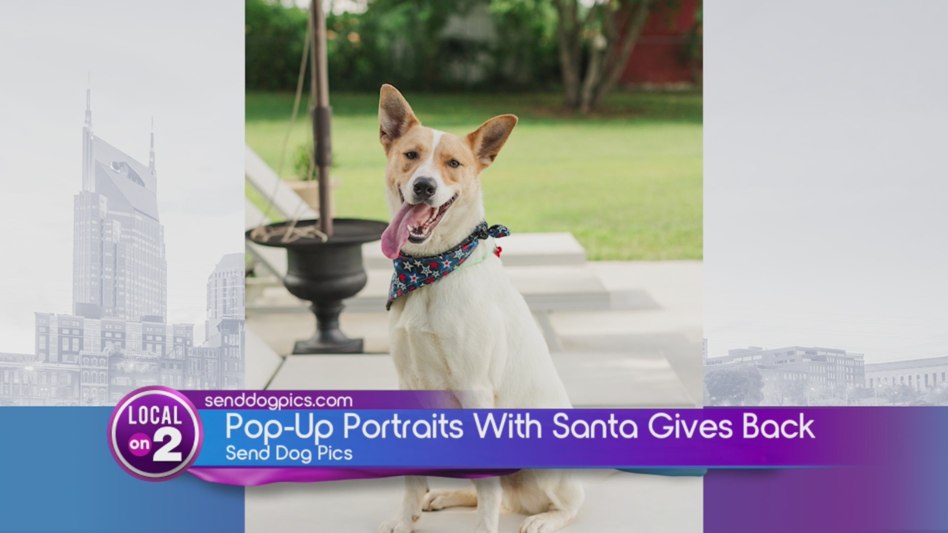 Send Dog Pics: Holiday Portraits – WKRN News 2