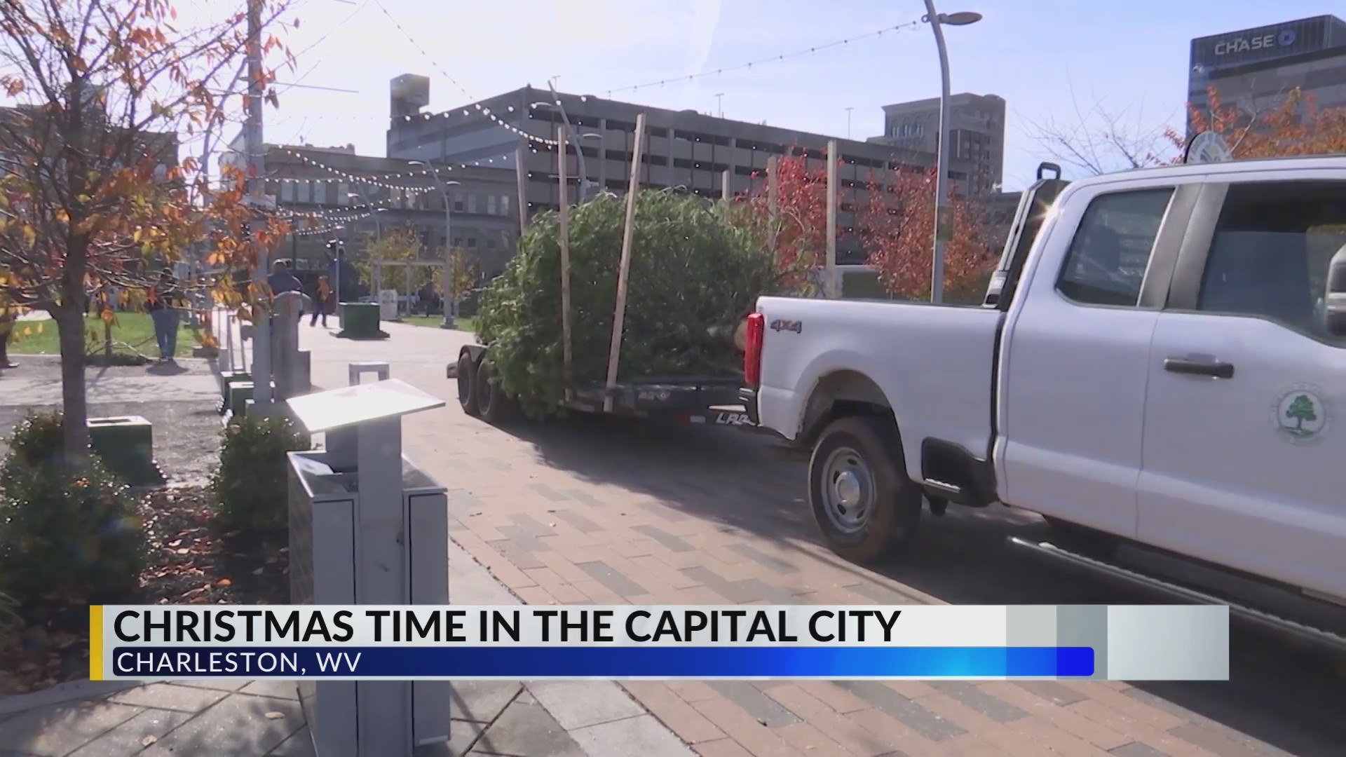 Charleston Christmas tree arrives in time for Holly Jolly Brawley ...