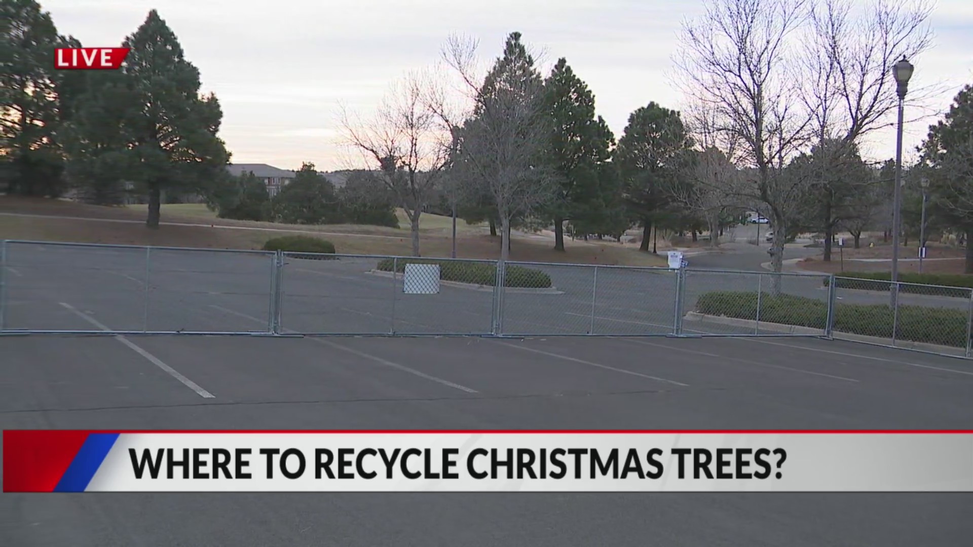 Where to recycle Christmas trees? – FOX31 Denver