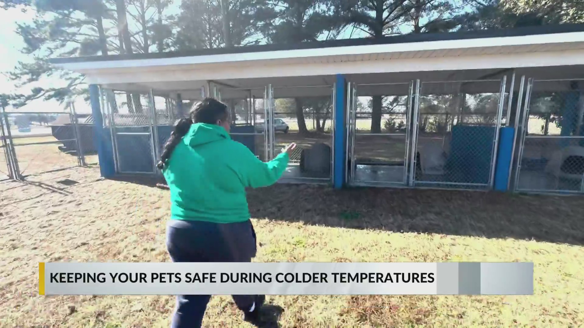 Cold weather tips: How to protect pets in winter – WNCT