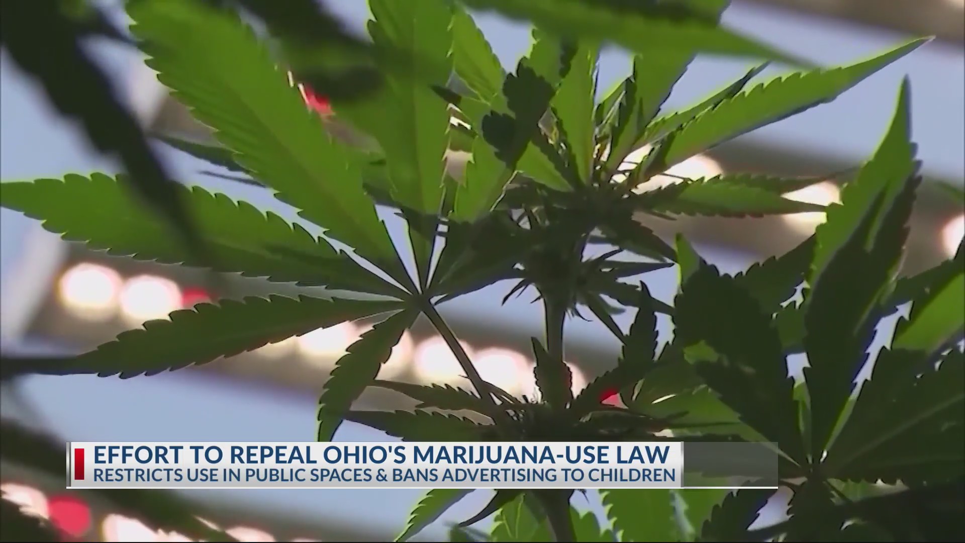 Ballot initiative to repeal Ohio’s new marijuana law hits snag – NBC4 ...