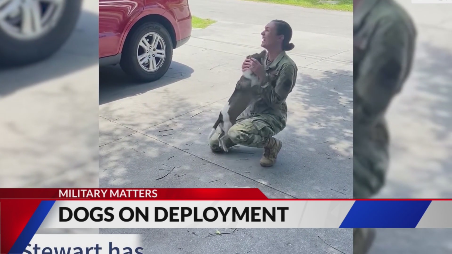 Dogs on Deployment: Supporting military families and their pets – FOX21 ...