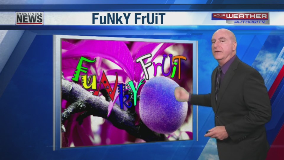 FuNkY FrUiT Happy Wrinkly Mater – Eyewitness News (WEHT/WTVW)