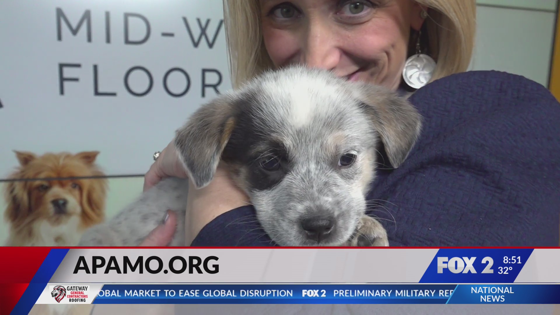 Adopt Sharpay the Dog – FOX 2