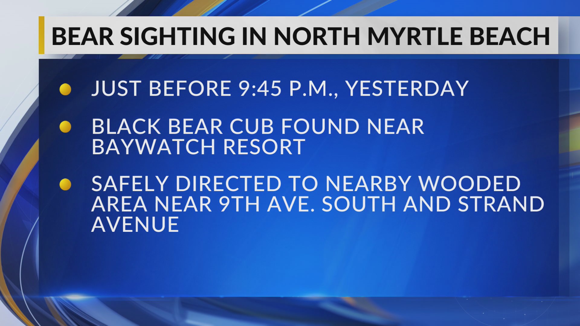 Bear cub spotted in North Myrtle Beach safely returned to woods – WBTW