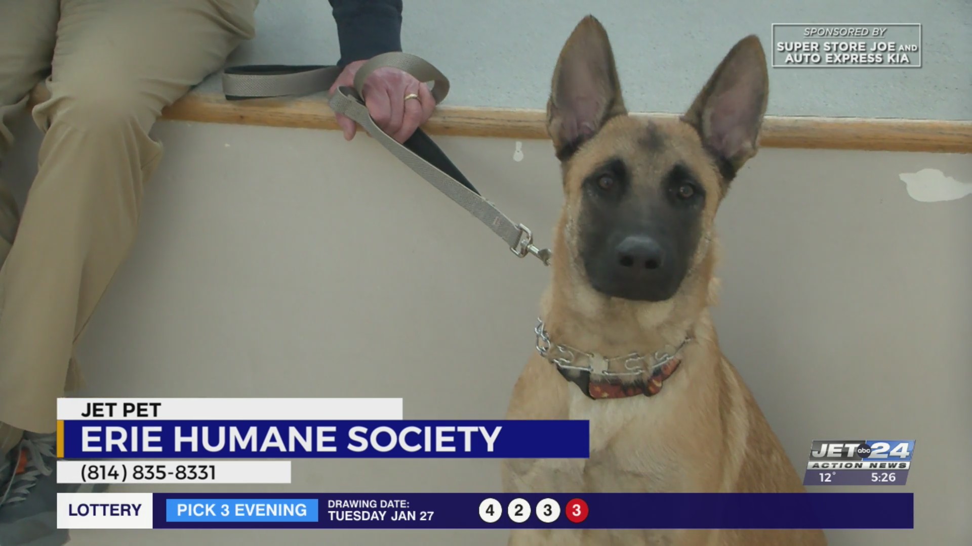 Jet Pet: Micah – WJET/WFXP/YourErie.com
