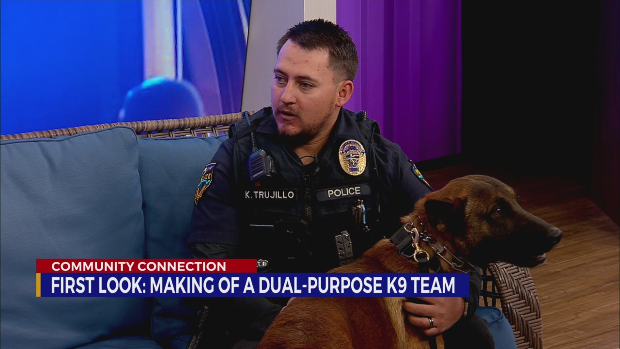 Meet K9 Hunter: Delta PD unveils its newest patrol dog ...