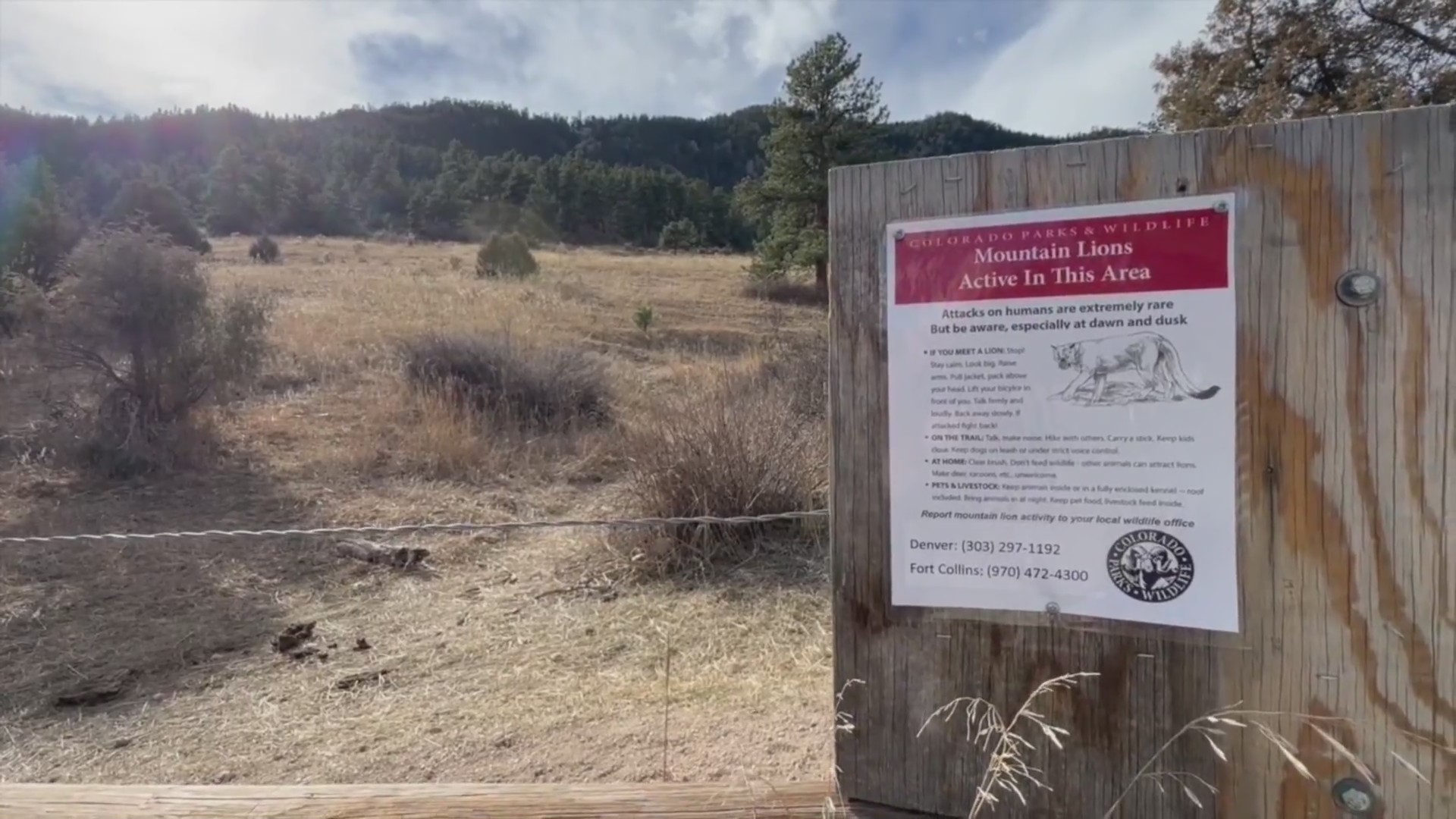 Suspected mountain lion attack prompts closure of several trails in ...