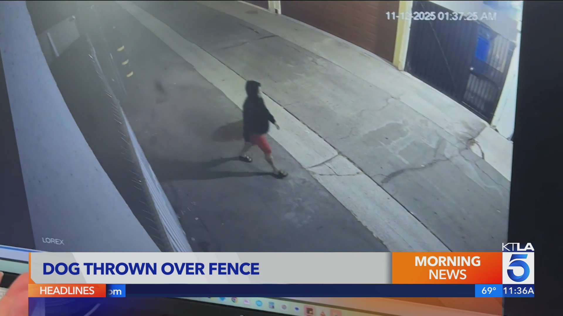 Anaheim woman caught on camera throwing dog in bag over fence, vet says ...