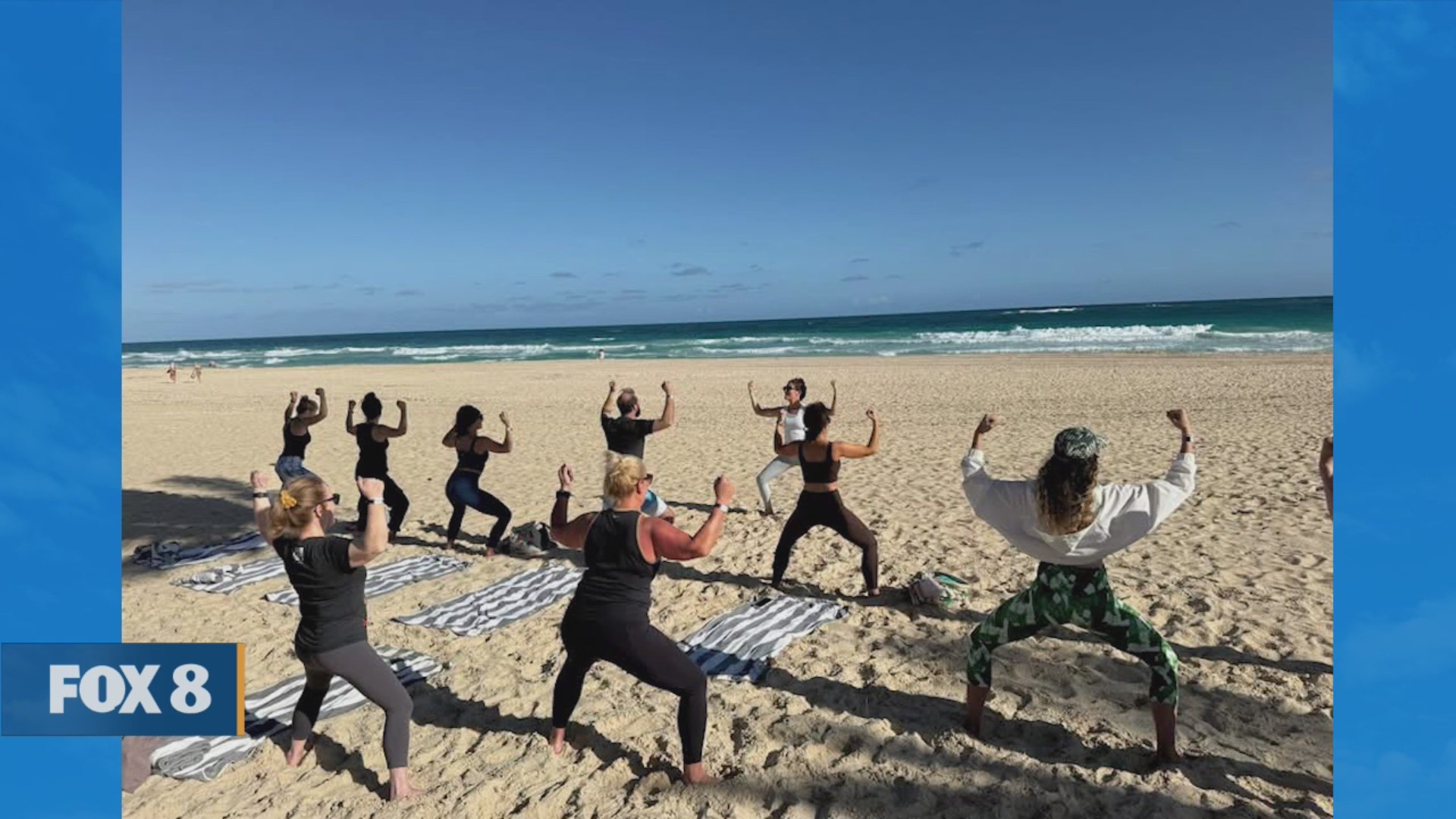 New Day Cleveland: Canary Travel – Fox 8 Cleveland WJW