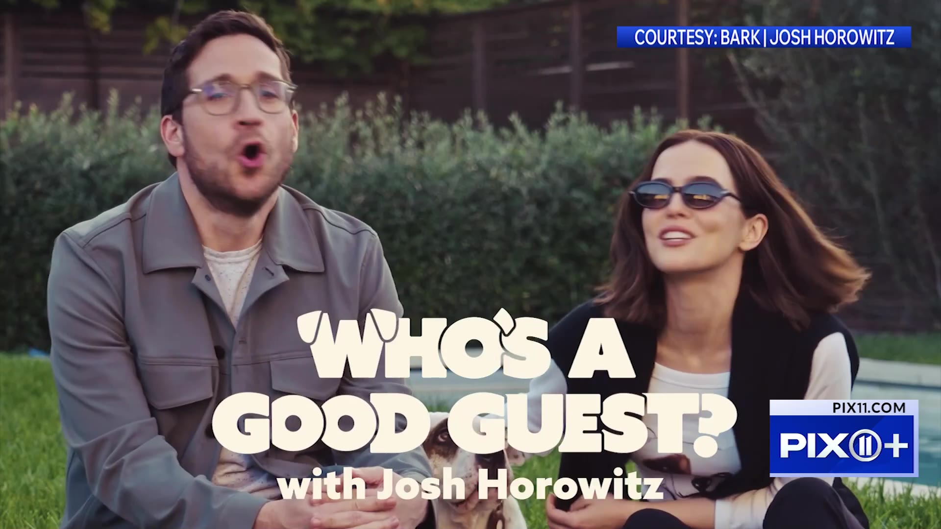 New series “Who’s A Good Guest?” features celebrities and their dogs ...