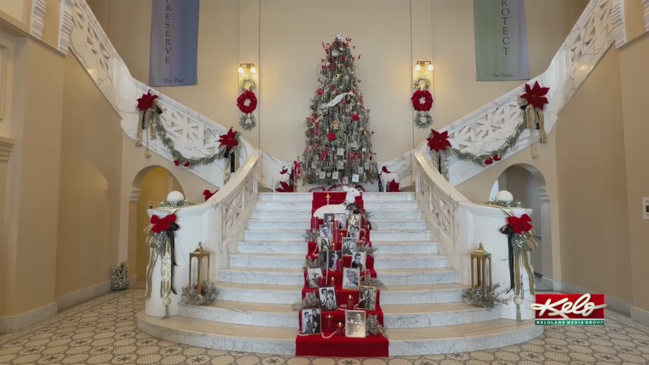 Record display for Hall of Trees at Mead Museum – KELOLAND.com