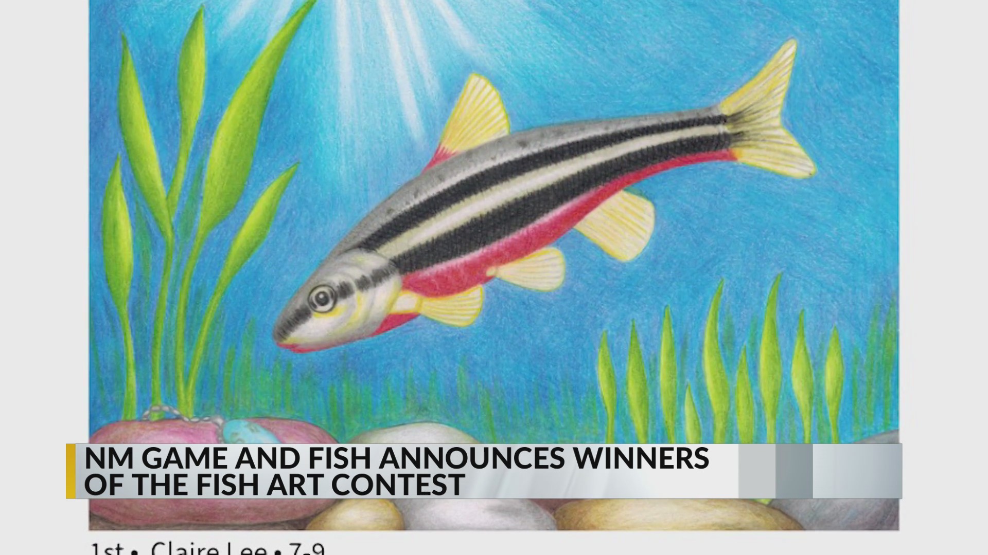 New Mexico Dept. of Game and Fish announces winners of fish art contest ...