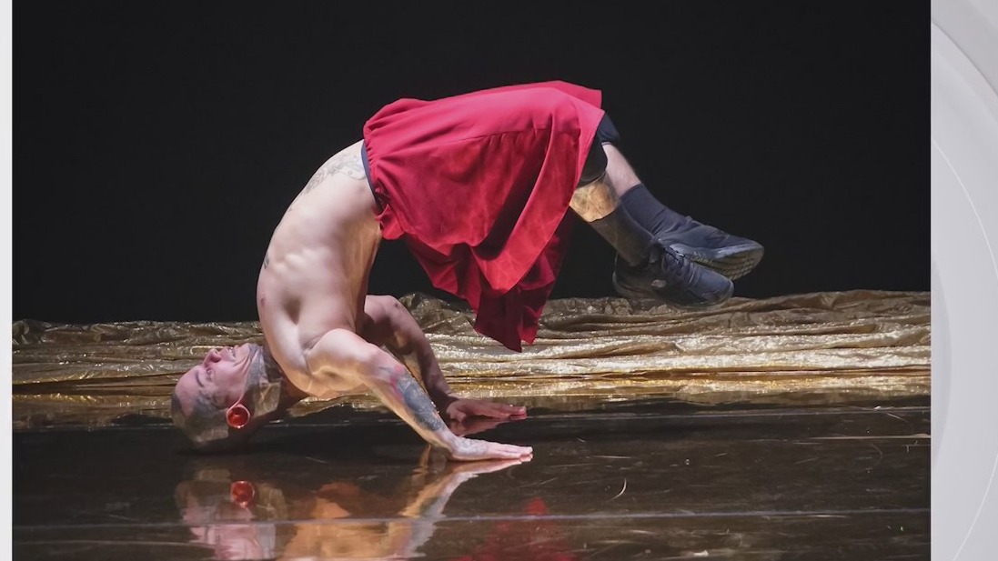 White Bird invites you to an unforgettable night of dance at the ...