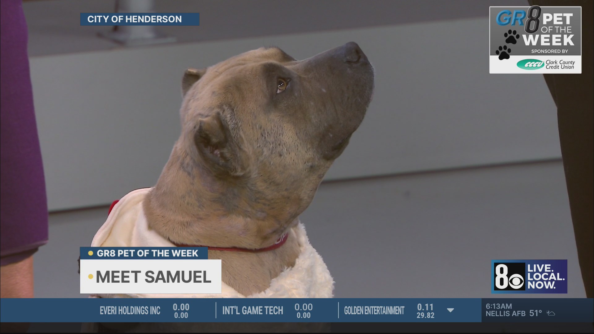 Pet of the Week: Samuel – KLAS