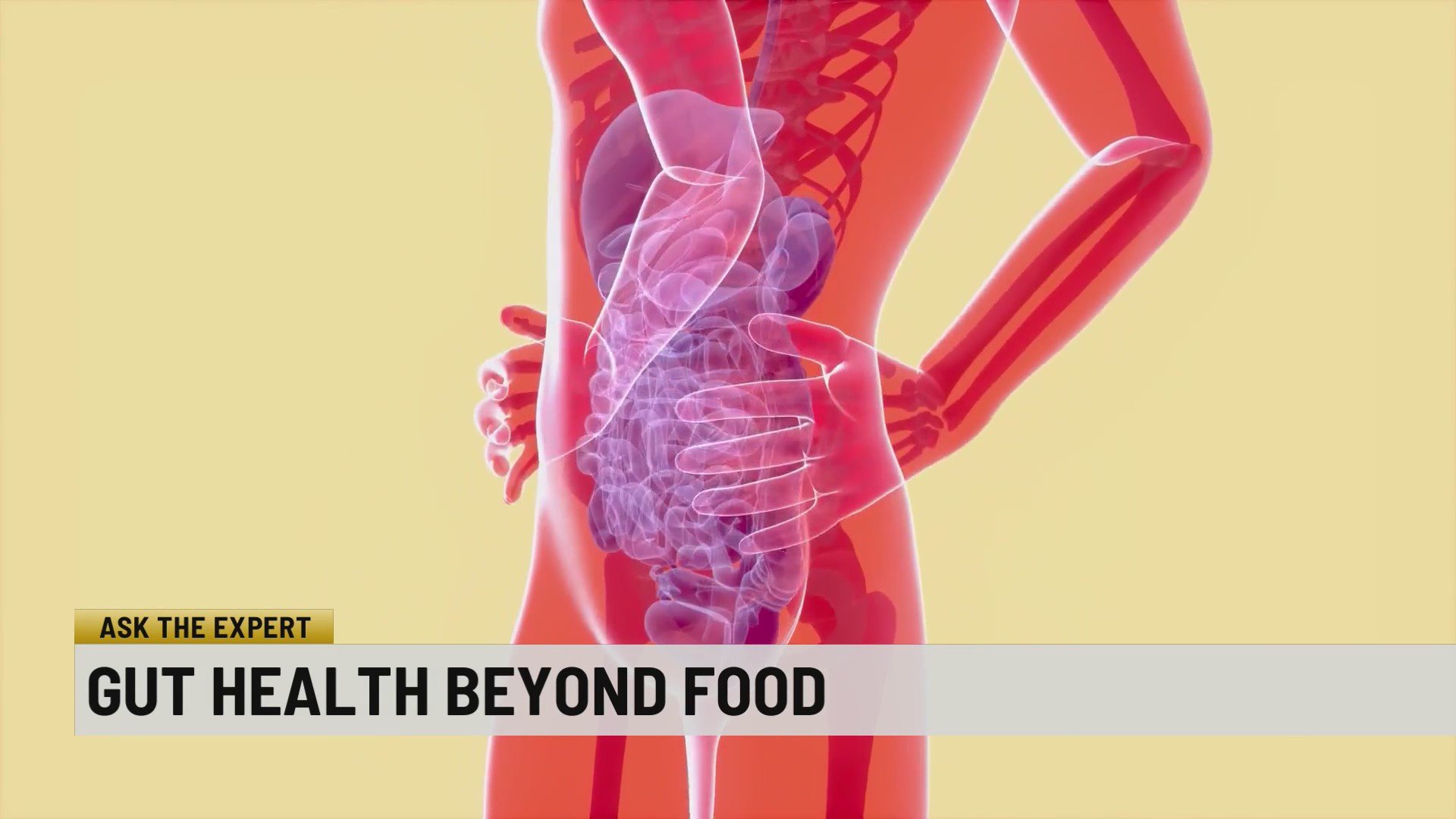 Simple habits for a healthier gut, according to experts – WSPA 7NEWS