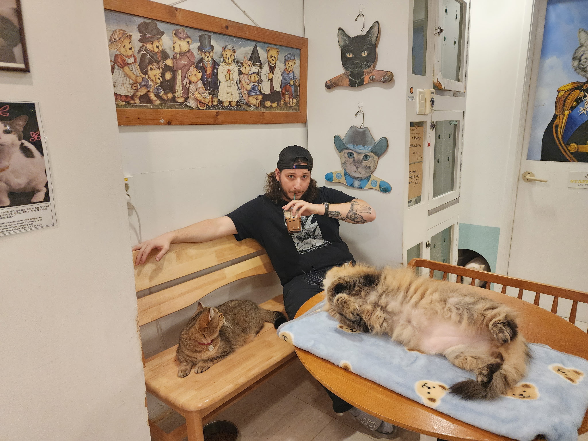 Buffalo artist Joe DiGiacomo releases debut single under Dealer Plates ...