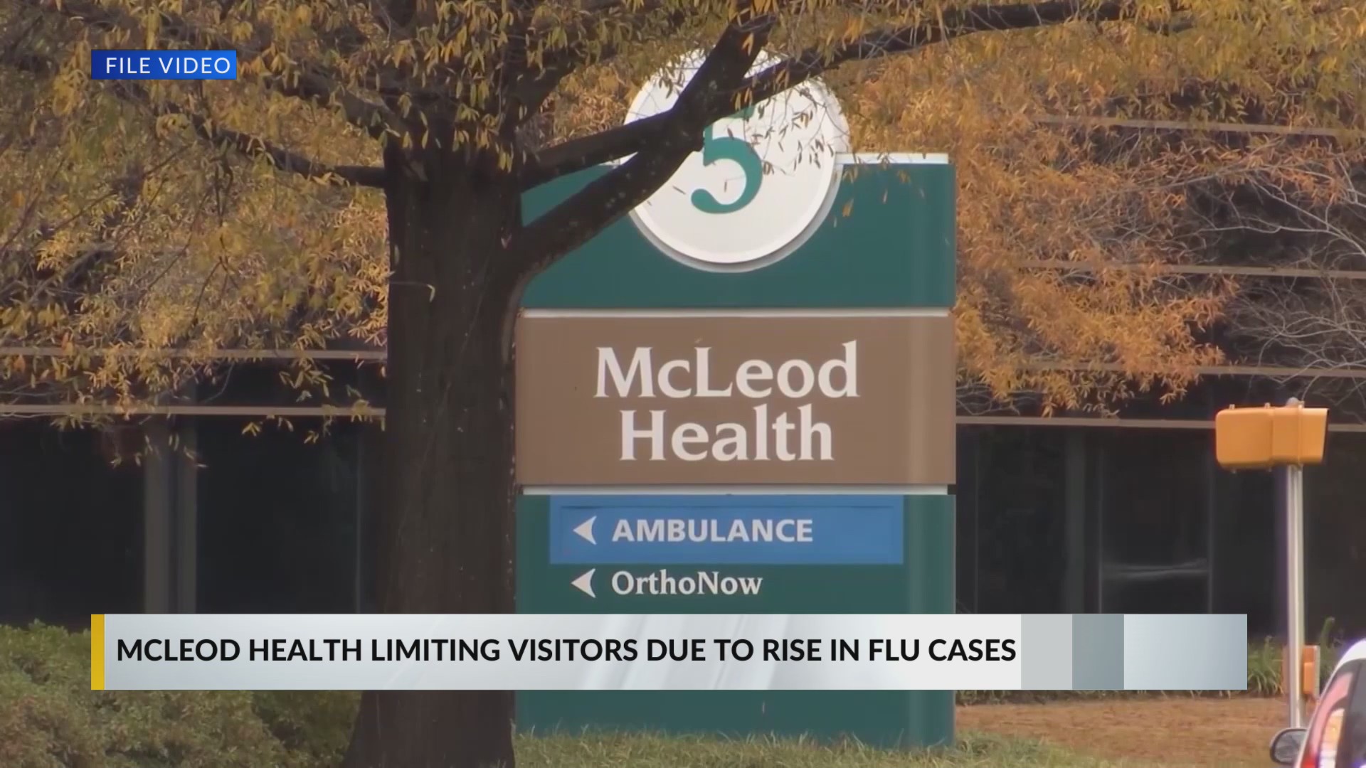 McLeod Health limits hospital visitations as flu season ramps up across ...