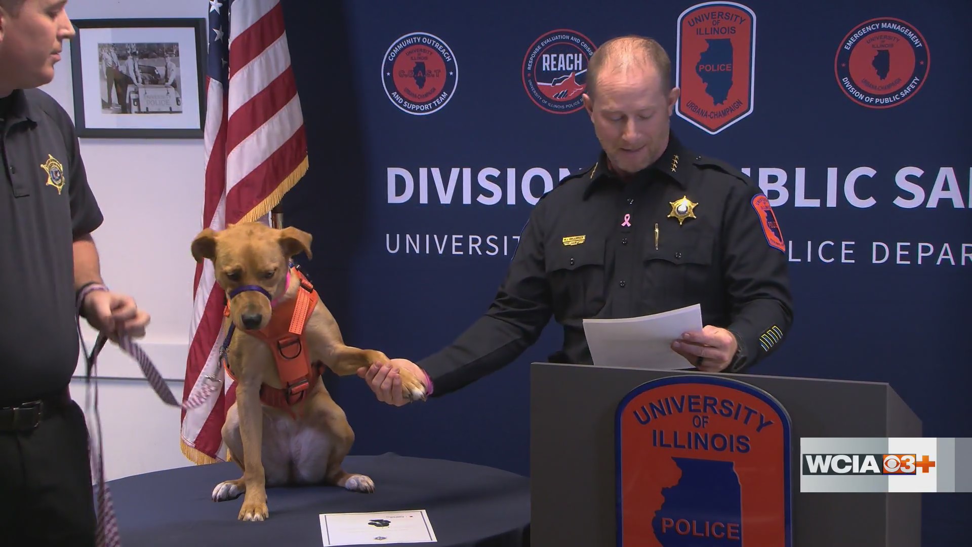 UIPD swears in a new four-legged officer – WCIA.com