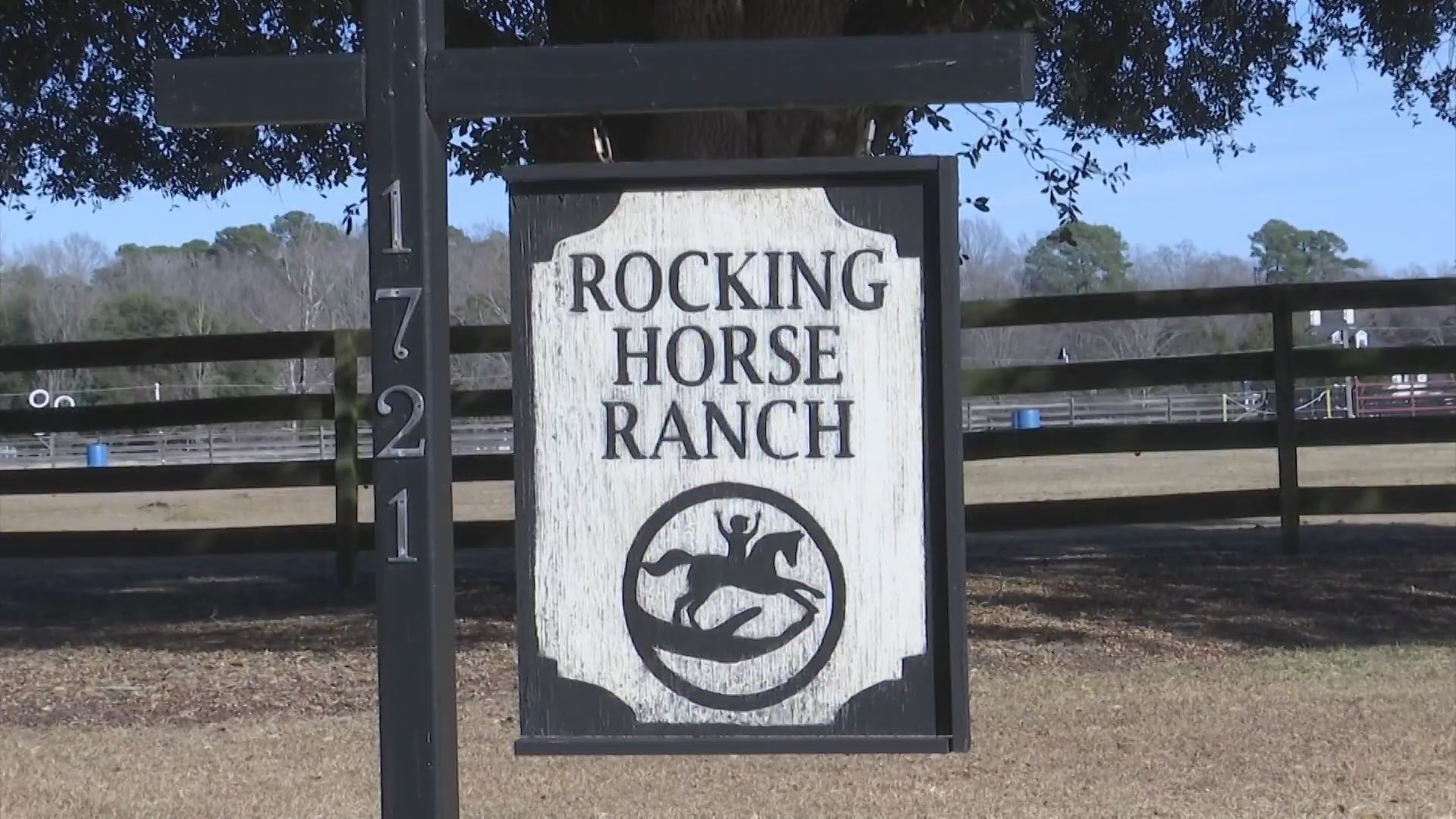 Therapeutic riding sessions at Rocking Horse Ranch in Greenville – WNCT