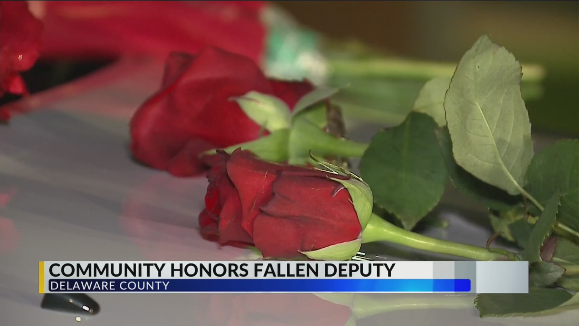 Delaware County community mourns death of sheriff’s deputy – Fox 59