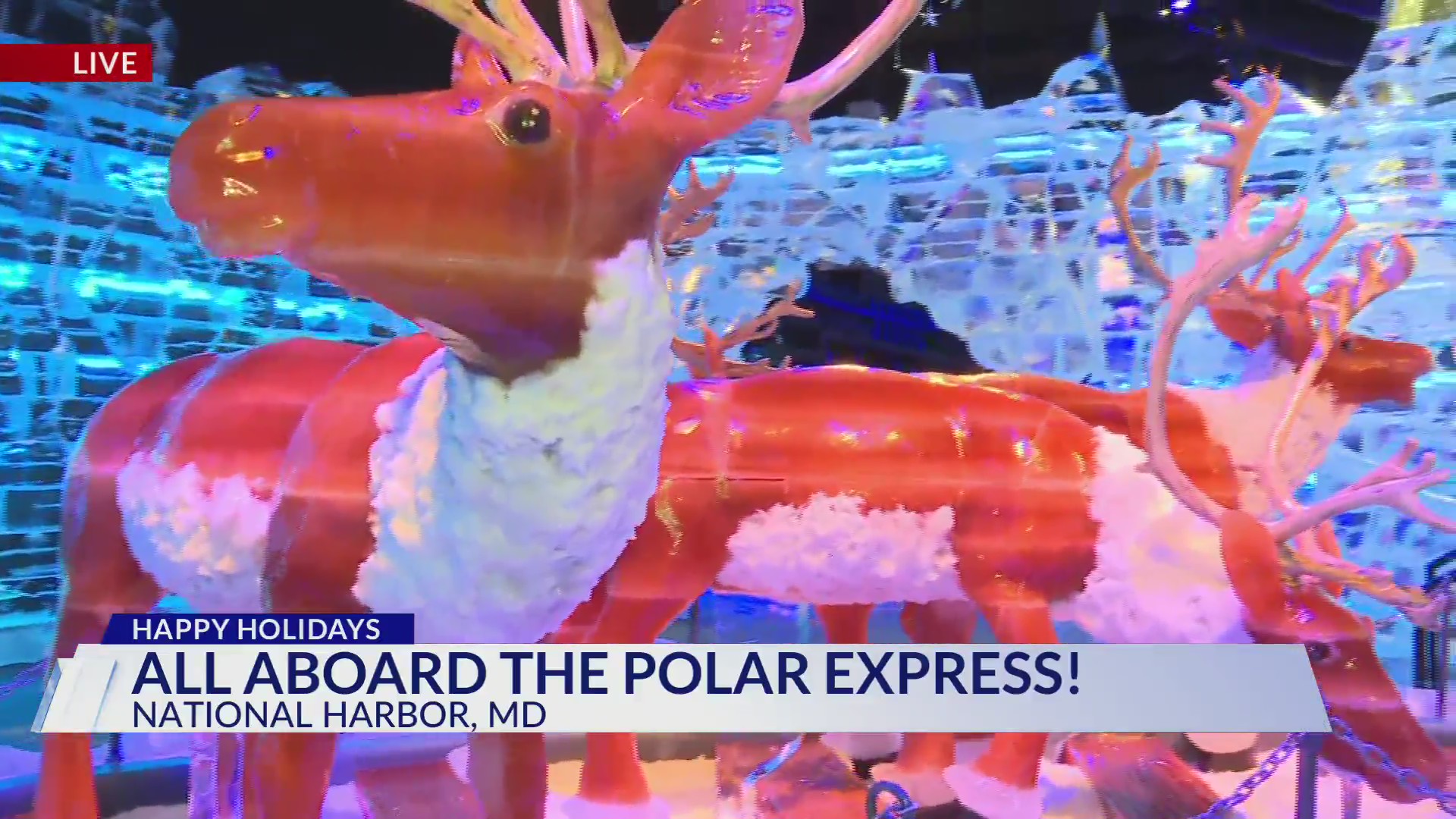 All aboard the Polar Express! – DC News Now | DC, Virginia, Maryland ...