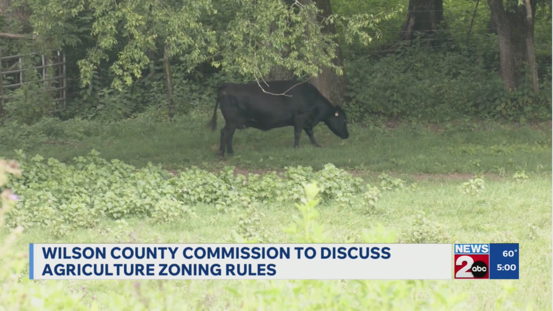 Wilson County Commission to discuss agriculture zoning rules – WKRN News 2