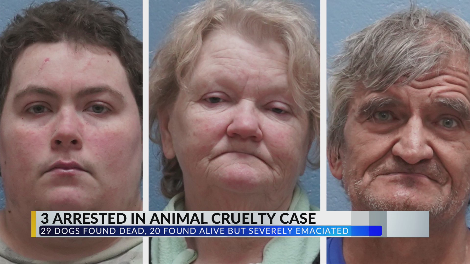 Three people arrested after dozens of dogs found dead, emaciated at Lee ...