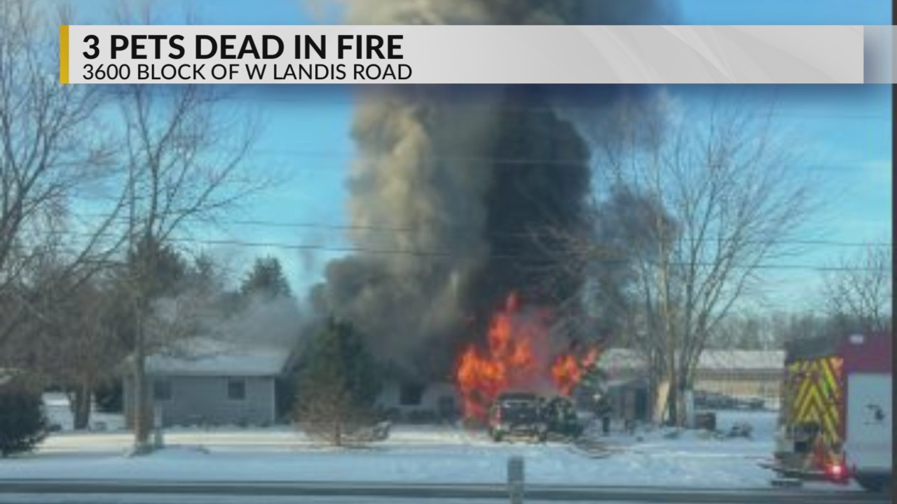 Three pets perish in Angola house fire – WANE 15