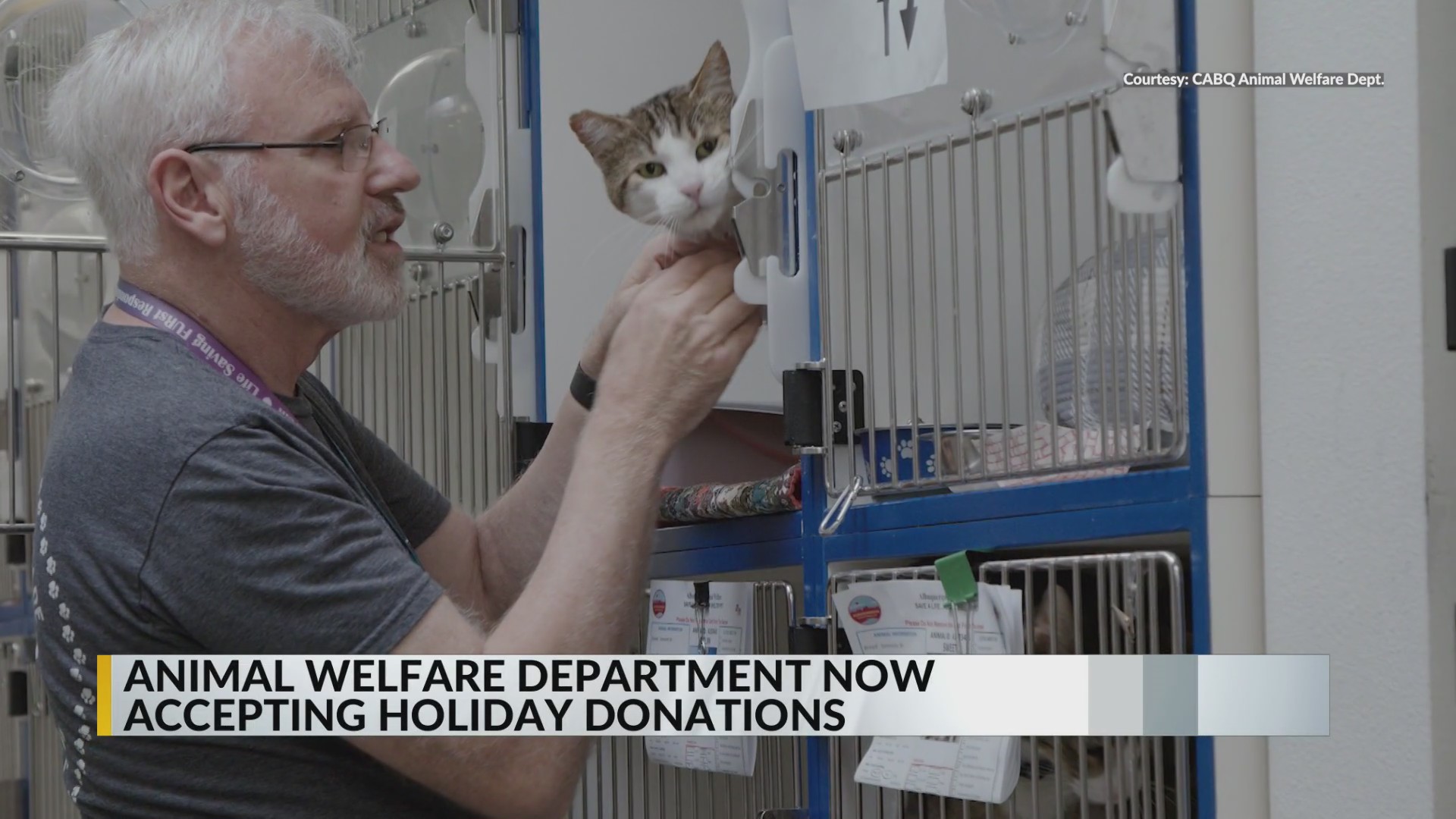 Albuquerque Animal Welfare Department looks to spread cheer to pets ...
