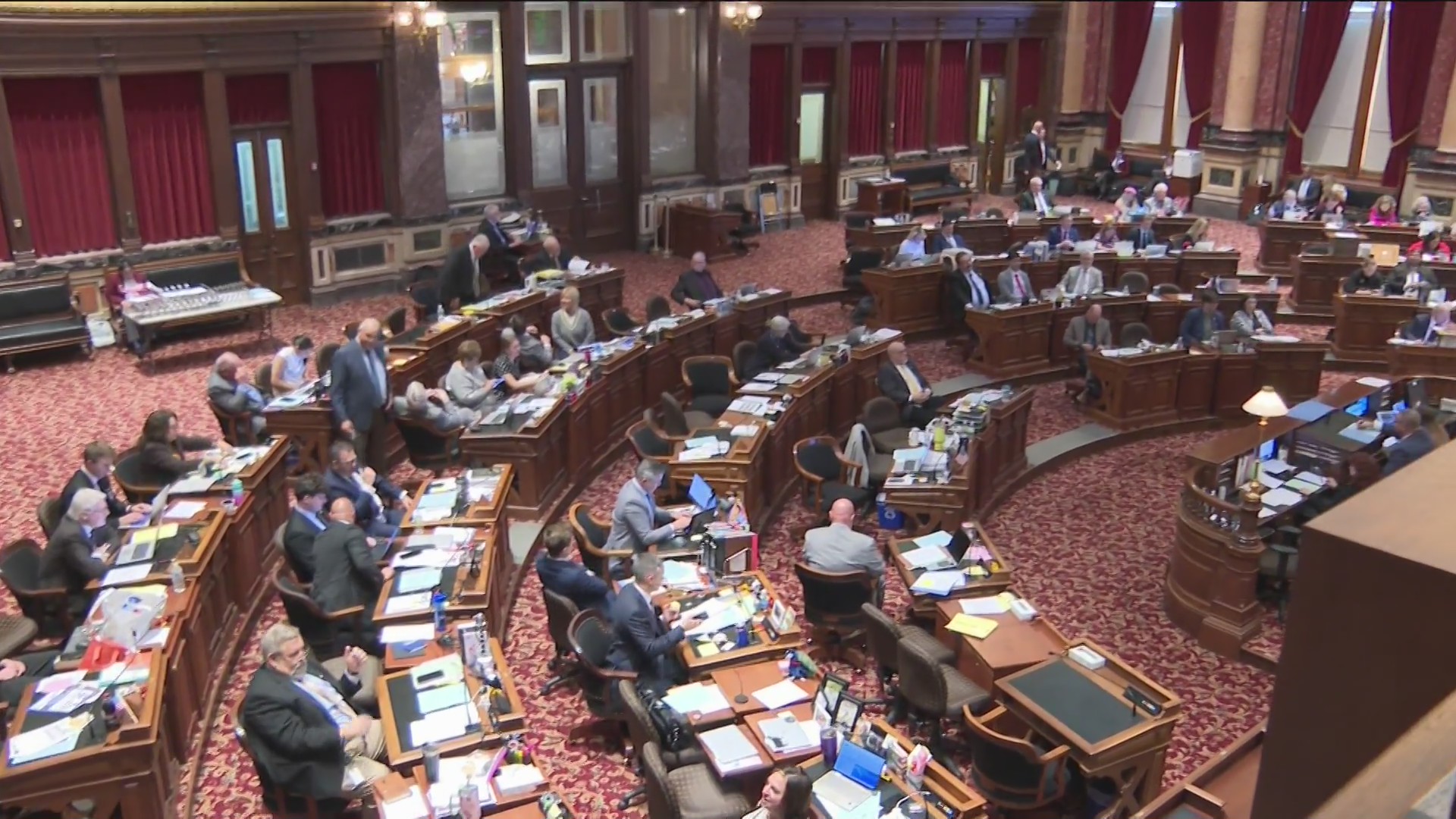Senate vote not taken on animal torture bill despite being scheduled ...