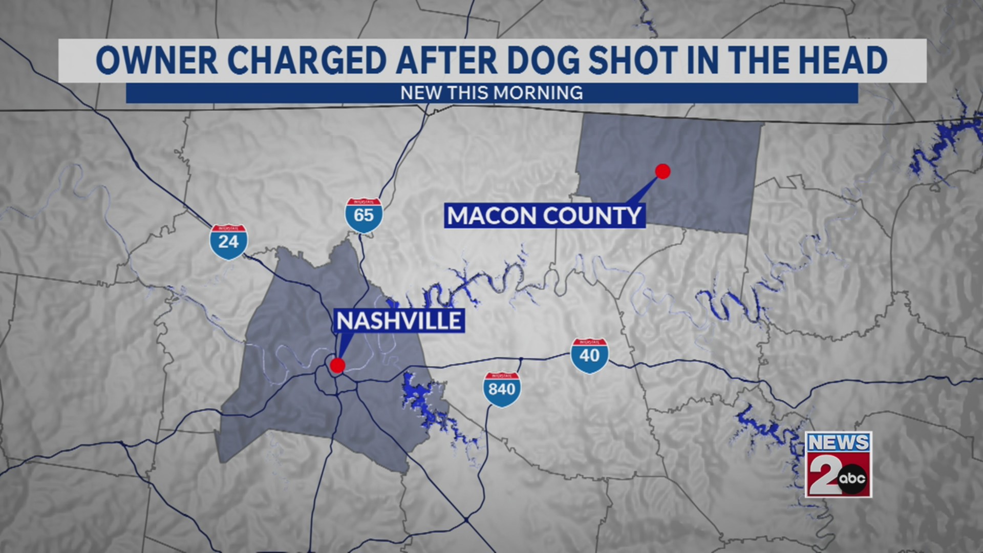 Owner arrested after dog shot in head in Macon County, sheriff says ...