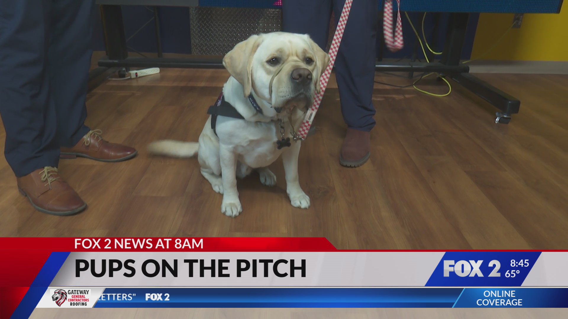 St. Louis CITY SC’s Pups on the Pitch – FOX 2