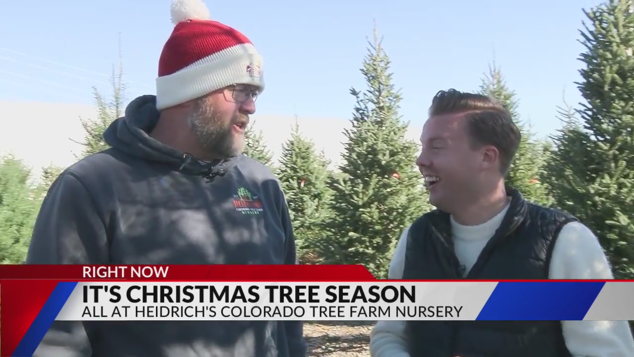 Heidrich’s Colorado Tree Farm Nursery gets ready for Christmas tree ...