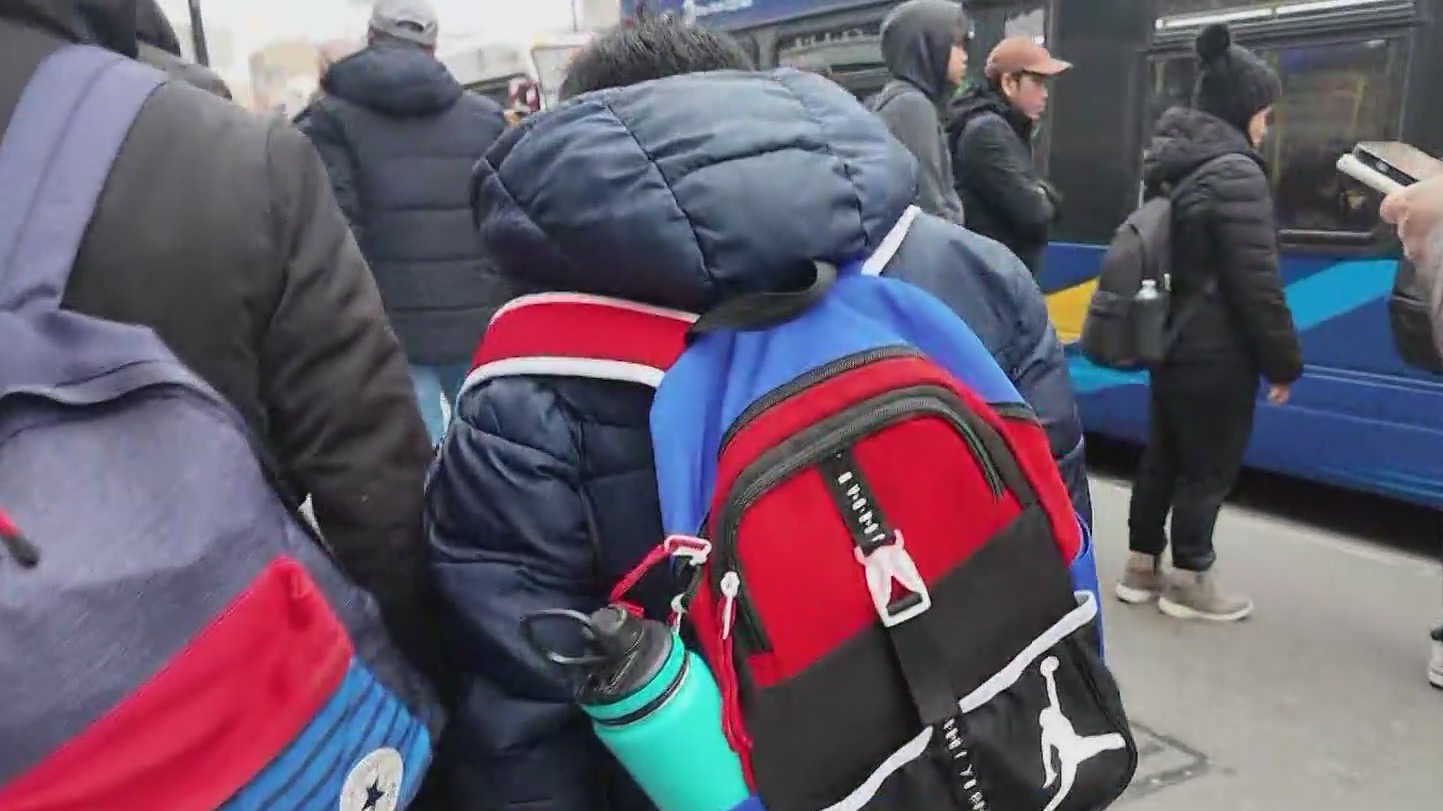 NYPD citywide pickpocket unit on high alert for holiday season – PIX11