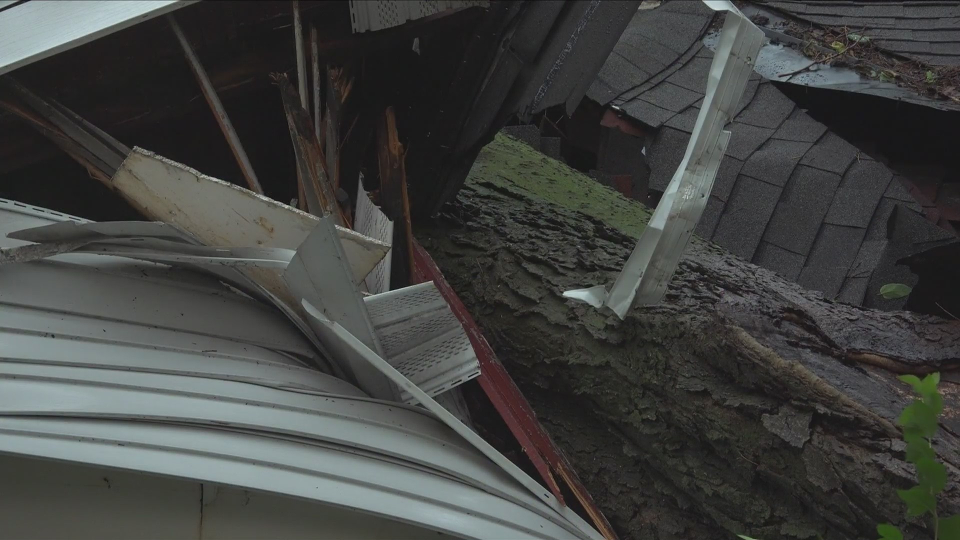 Tree collapses on Peoria home – CIProud.com