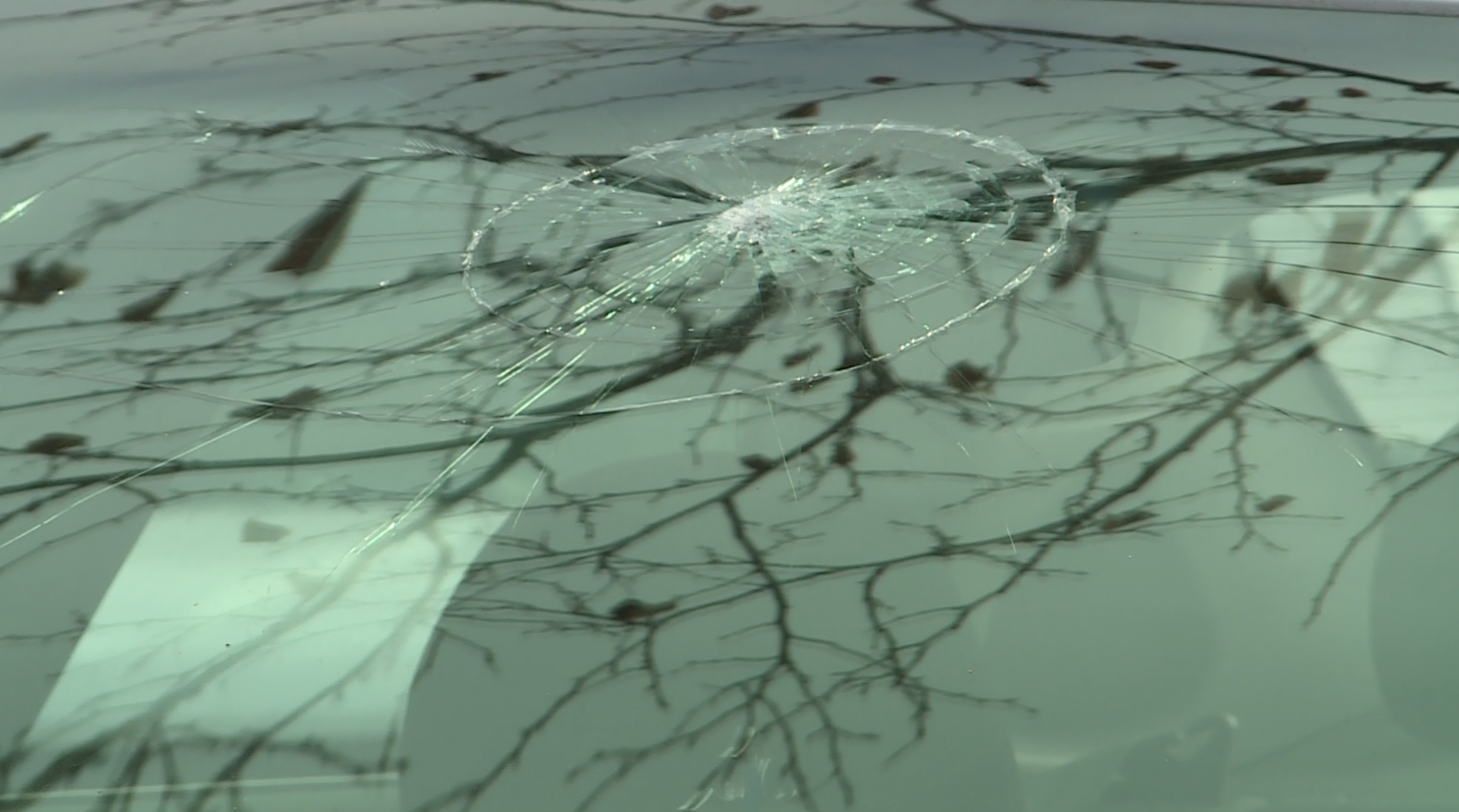 Christmas crash in St. Louis ends in shooting, suspects flee – FOX 2